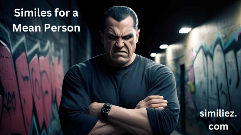 20+ Similes for a Mean Person