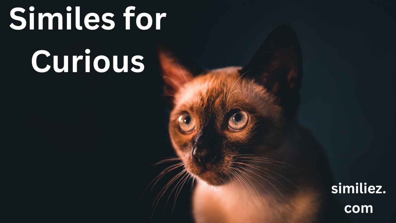 15+ Similes for Curious