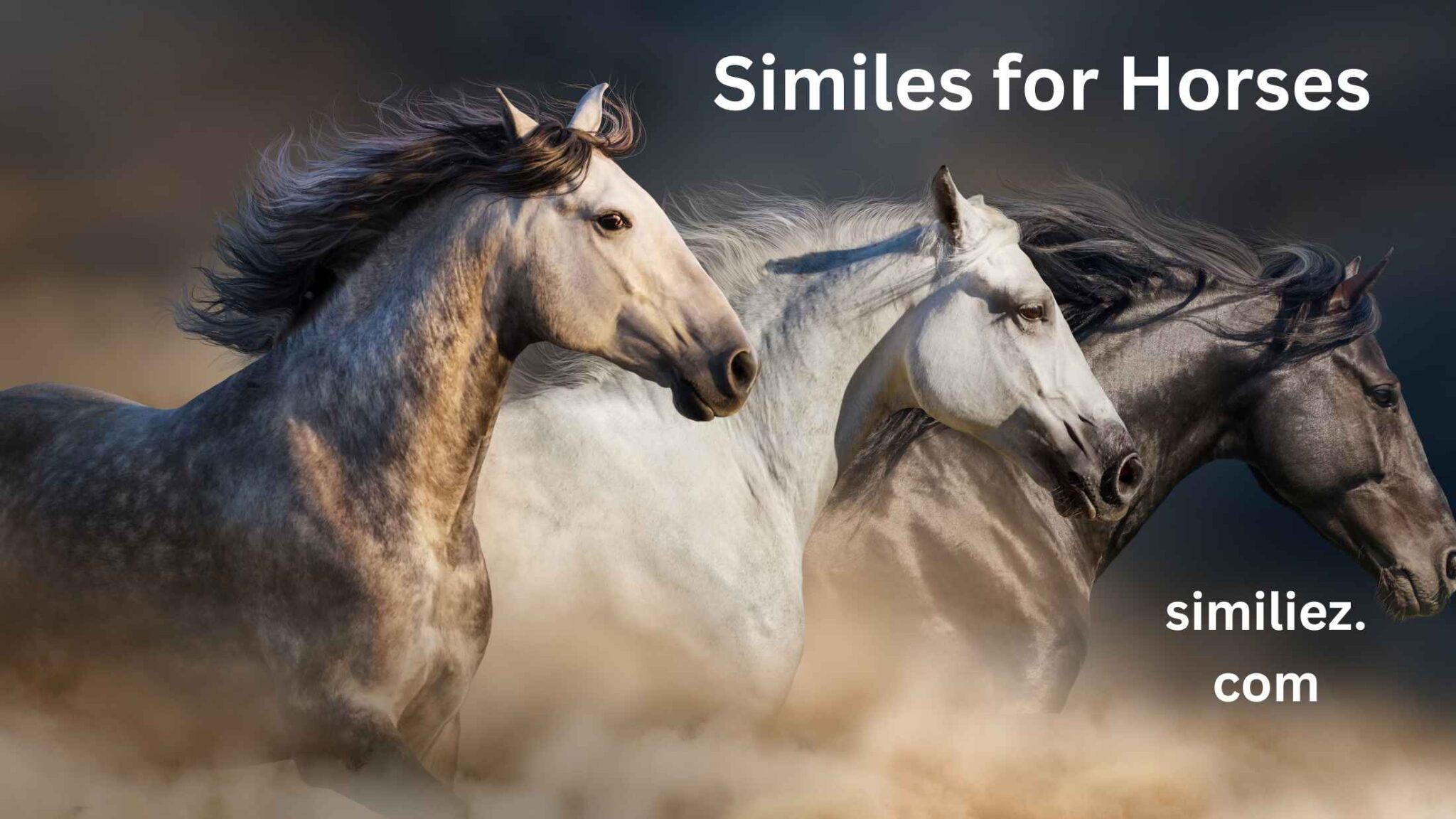 25+ Similes for Feeling Out of Place